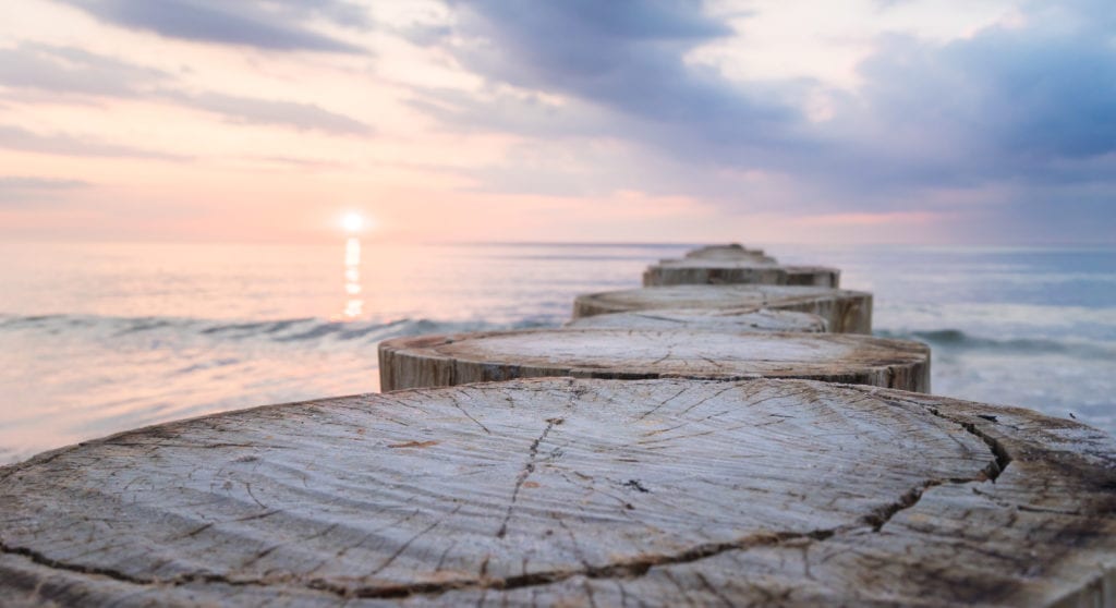 Psychotherapy Services – Christine Pappas, MA, Psy.D, CEDS